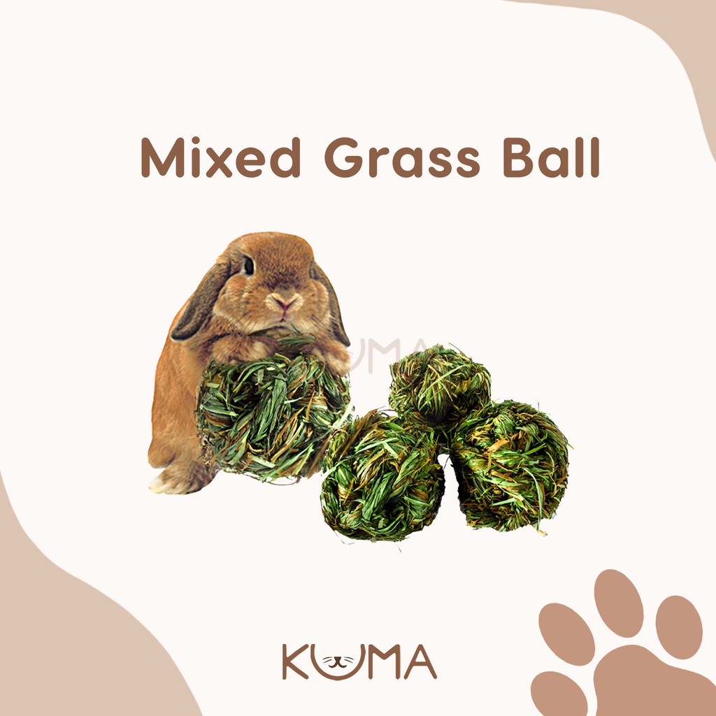 Jual [KUMA] Mainan Kelinci Bola Rumput Hay BESAR | Natural Grass Ball ...