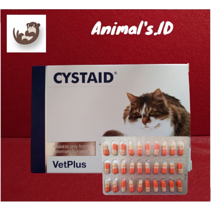 Jual Cystaid 1 Kapsul (Obat Saluran Kemih) kucing | Shopee Indonesia