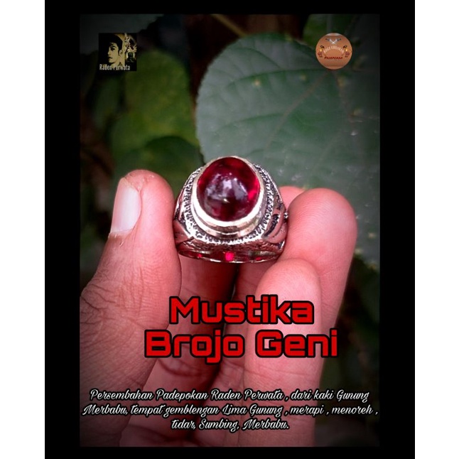 Jual Mustika "Brojo Geni" Langka | Shopee Indonesia
