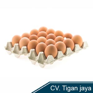 Jual telur ayam 15 butir-telur ayam kemasan tray-telor ayam 15 butir ...