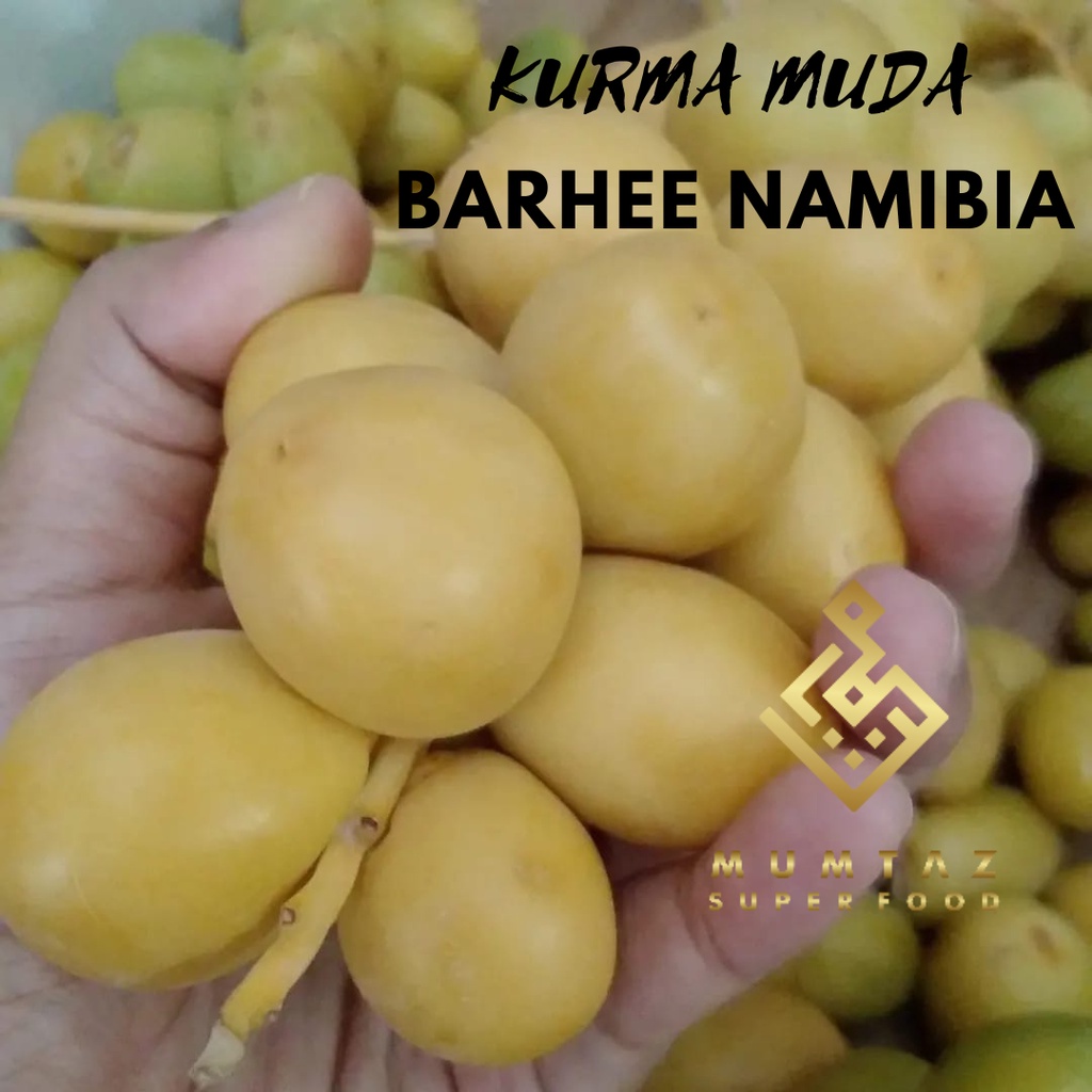 Jual Kurma Muda Barhee Promil Fresh 500gr | Shopee Indonesia
