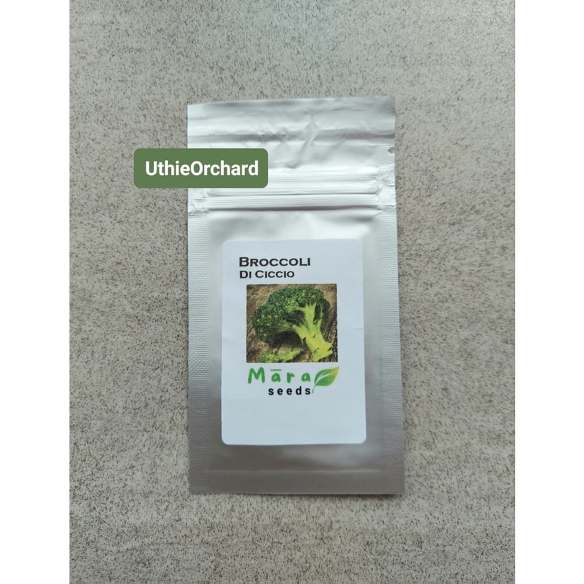 Jual Mara Seeds - Broccoli (Brokoli) Di Ciccio (125 Seeds) | Shopee ...