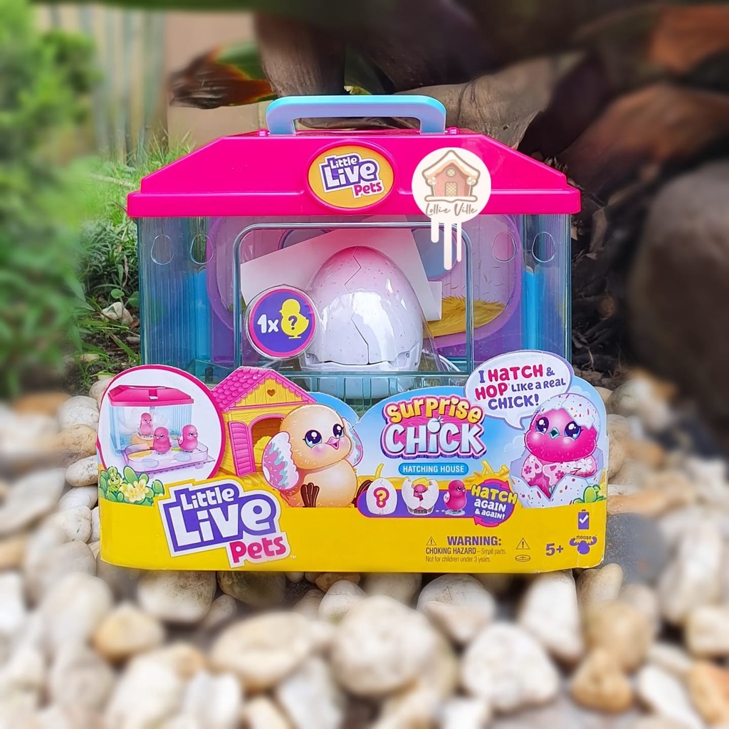 Jual Little Live Pets Surprise Chick Hatching House | Shopee Indonesia