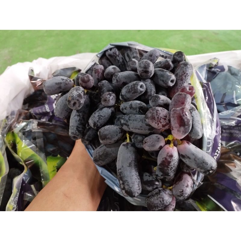 Jual SWEET SAPHIRE/ ANGGUR JARI TANPA BIJI | Shopee Indonesia