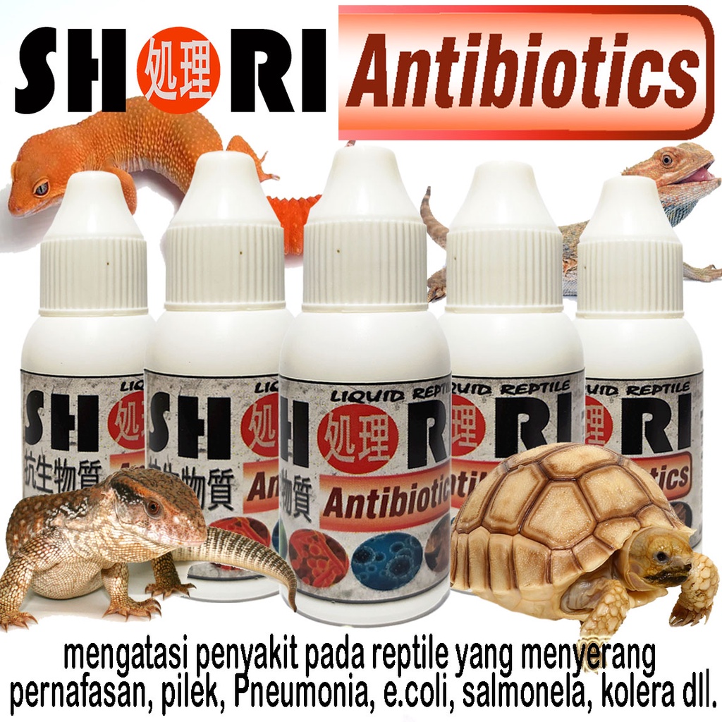 Jual SHORI ANTIBIOTIK REPTIL SUPLEMEN VITAMIN OBAT ULAR BEARDED DRAGON ...