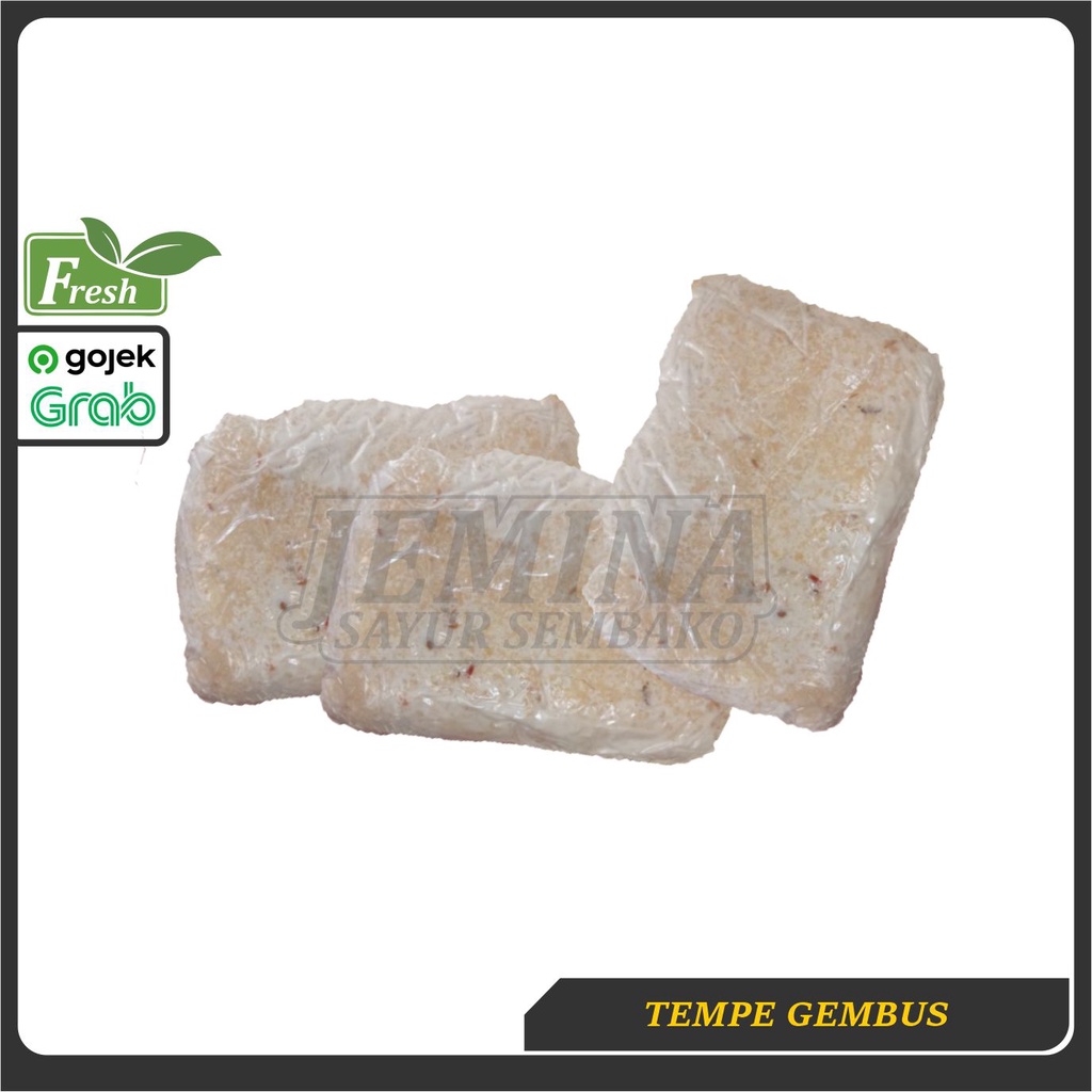 Jual Tempe Gembus Ampas Tahu 2 Pcs/Bungkus | Shopee Indonesia