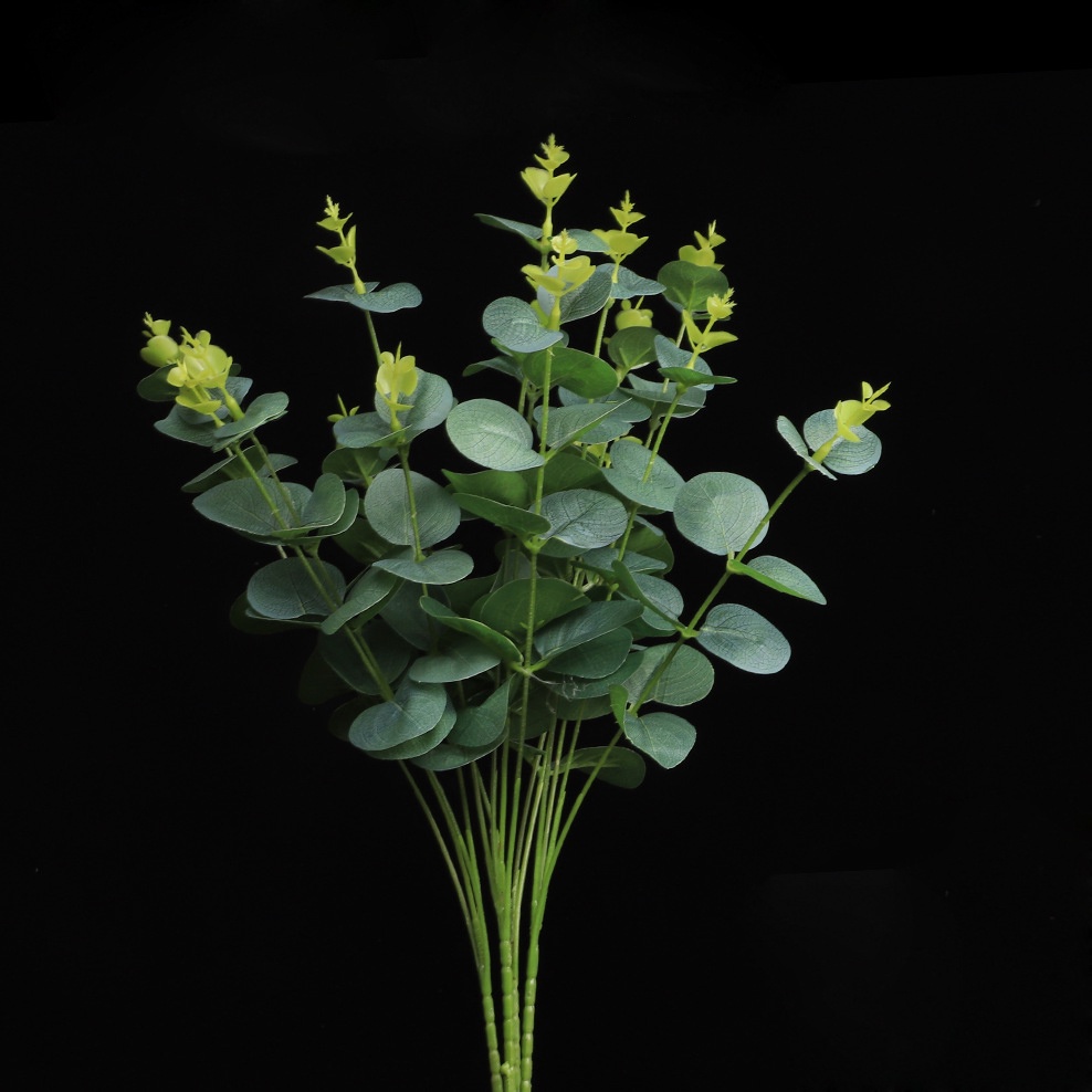 Jual (16 TANGKAI) Daun Dolar Eucalyptus Artificial Flower | Shopee ...