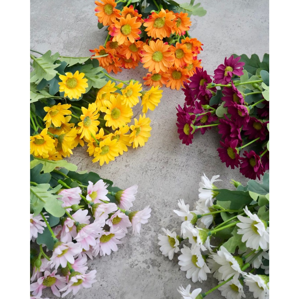 Jual Bunga, mini Mum | Shopee Indonesia