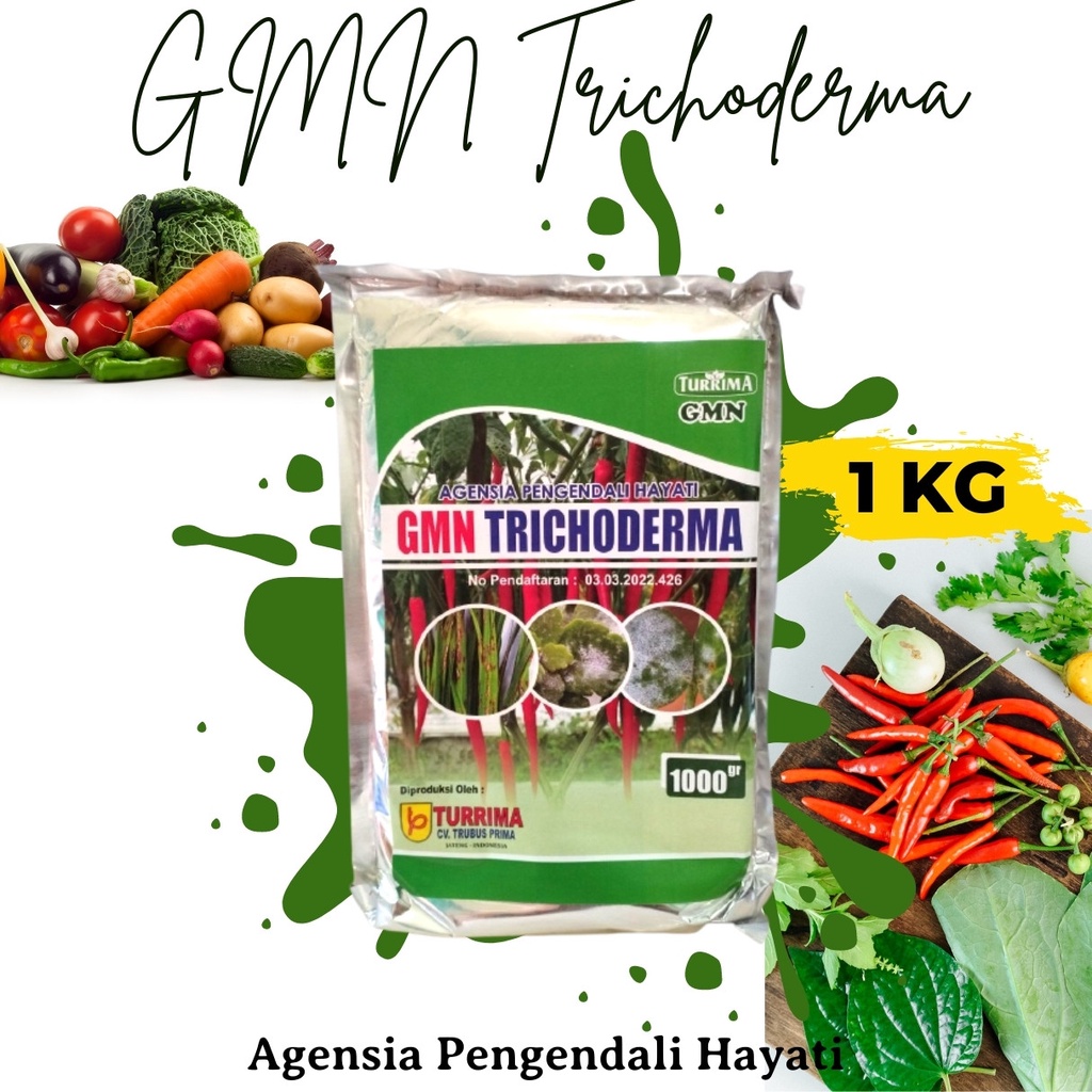 Jual Fungisida Hayati Tricoderma Harzianum, Pupuk Trichoderma Pencegah ...