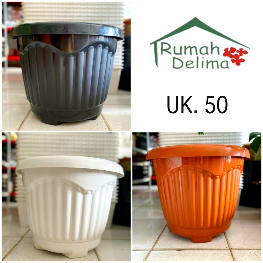 Jual Pot Tanaman shallom mio uk. 50 / jumbo mio 50 | Shopee Indonesia