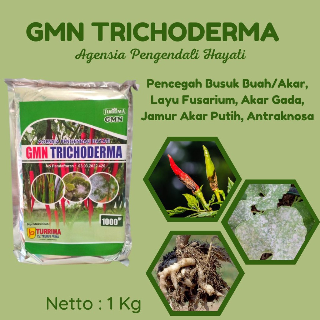 Jual TERLARIS Pupuk Fungisida Hayati Trichoderma 1000 Gram, Pencegah Jamur Busuk akar, Busuk ...