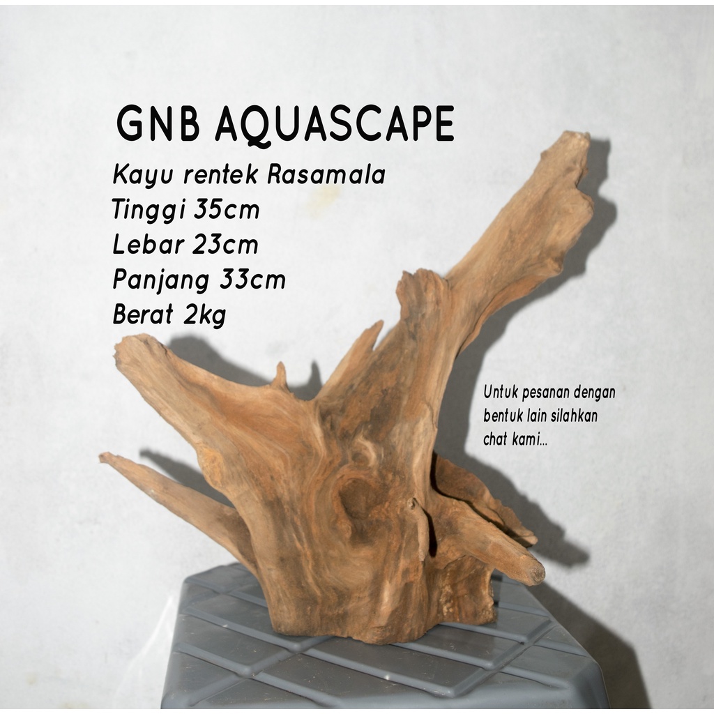 Jual KAYU RENTEK RASAMALA | Shopee Indonesia