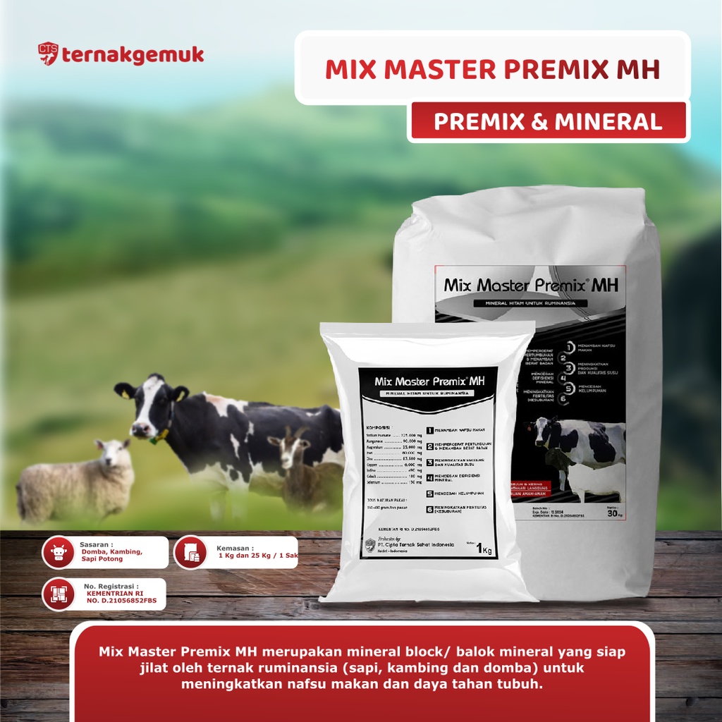 Jual MINERAL HITAM PREMIUM TERNAK MIX MASTER PREMIX MH MENCEGAH LUMPUH ...