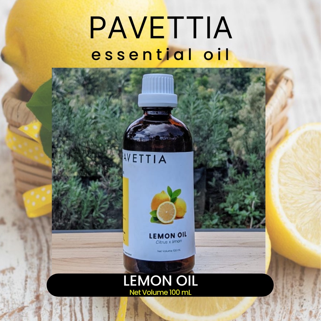 Jual 100 ml - minyak atsiri lemon / lemon essential oil (Citrus x limon ...