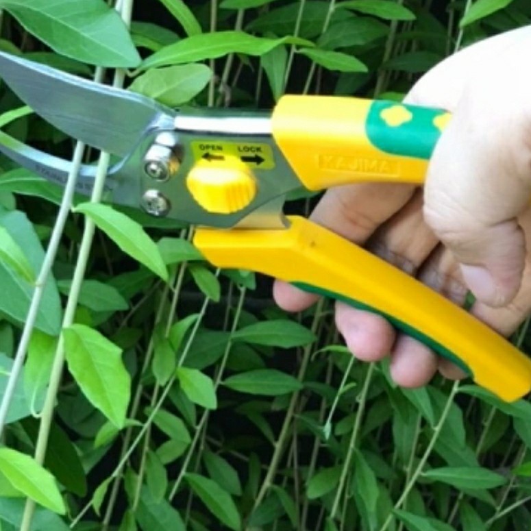 Jual Gunting Tanaman Gunting Dahan Kajima 8 Inch | Shopee Indonesia