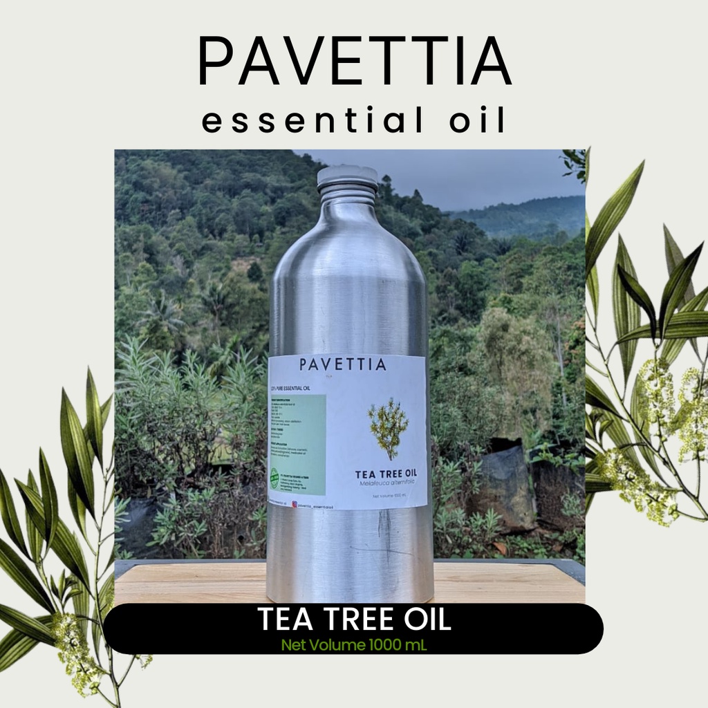 Jual 1000 ml - Tea tree oil / minyak atsiri tea tree (Melaleuca ...