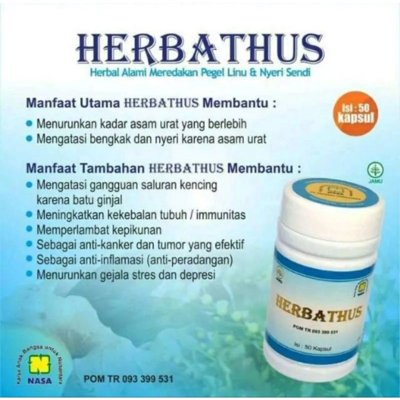 Jual HERBATUS Solusi Masalah Pada Ginjal Herbal Nasa original | Shopee ...