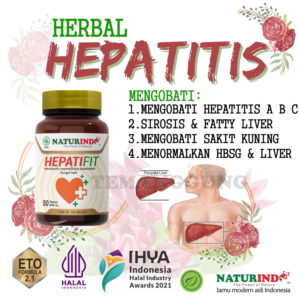 Jual Obat Hepatitis a b c Ampuh Kuning Fatty liver Bengka Sirosis ...
