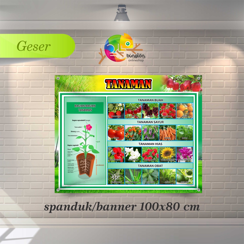 Jual Spanduk, Banner Kumpulan Tema-Tema Untuk Kober, Paud & TK (Tanaman ...
