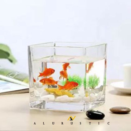 Jual AQUARIUM MINI KOTAK PERSEGI 12 CM / AKUARIUM CUPANG GUPPY ...