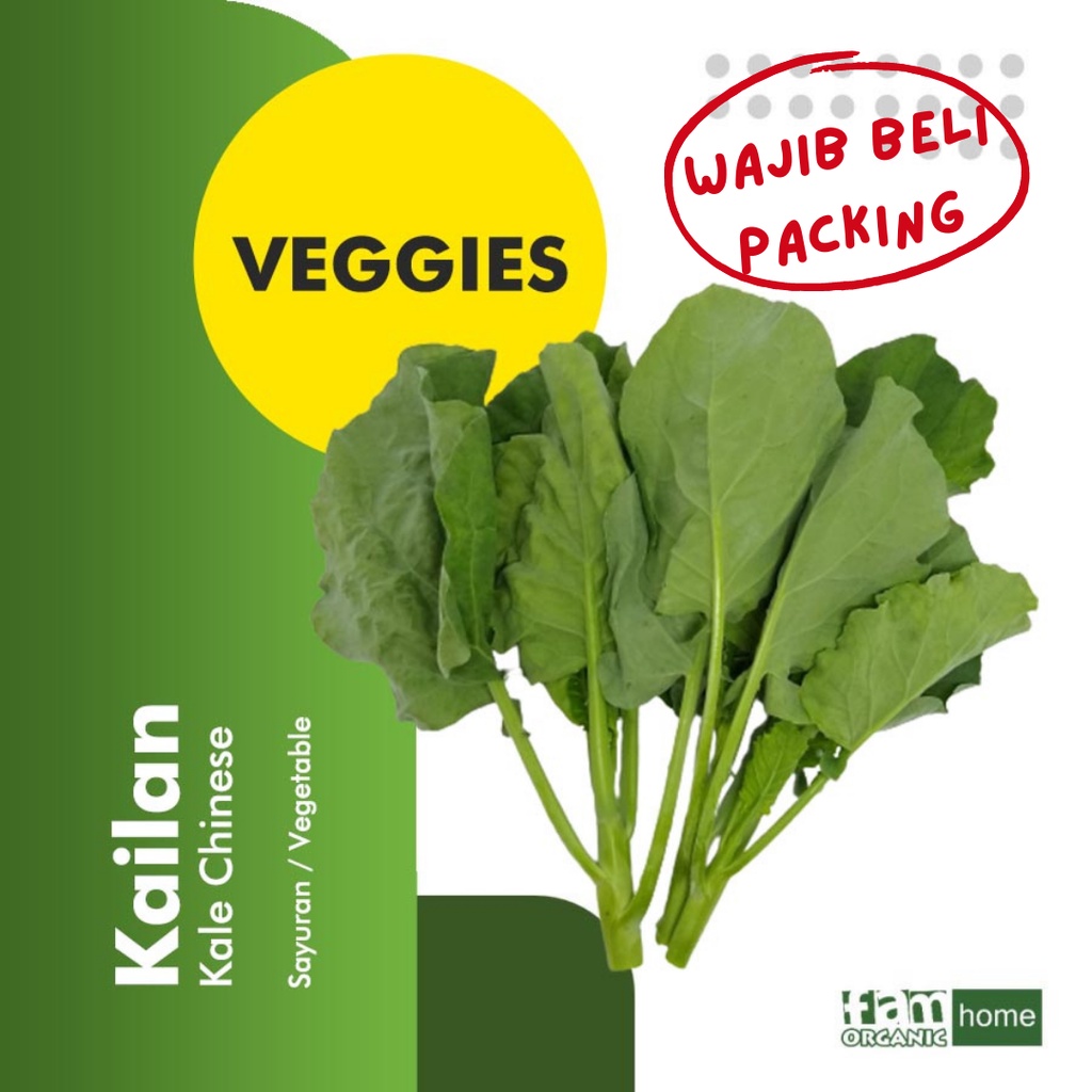 Jual Kailan Daun Chinese Kale Sayur Segar Fresh Vegetable FAM Organik ...