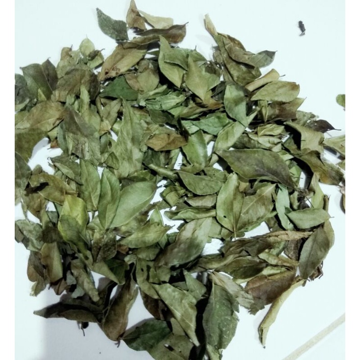 Jual Daun kari Daun salam Koja kari temuru | Shopee Indonesia
