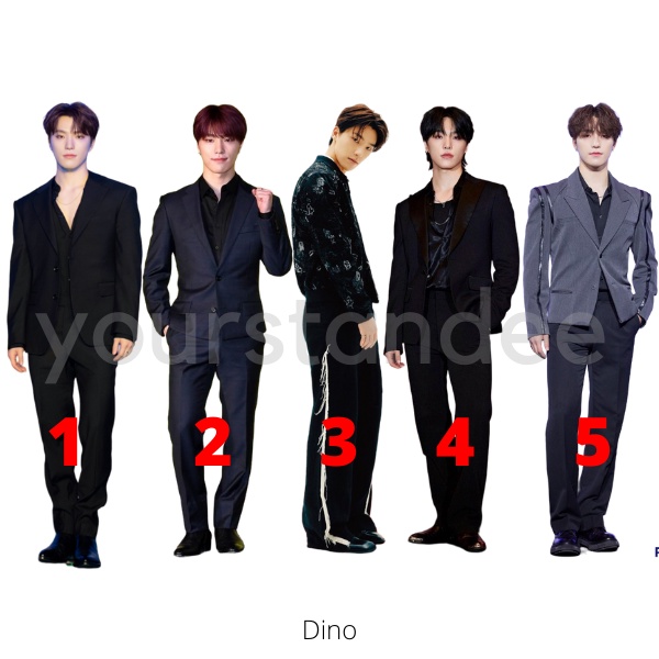 Jual STANDEE SEVENTEEN REAL SIZE / STANDEE KPOP / YOURSTANDEE | Shopee ...