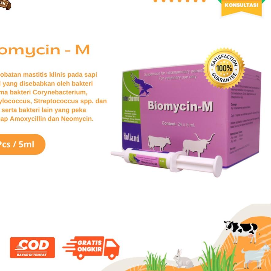 Jual 12.12 Brand BIOMYCIN M 5 ml - obat mastitis sapi kambing masa ...