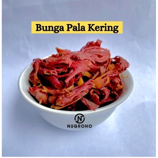 Jual Bunga Pala Terlengkap & Harga Terbaru Juni 2024 | Shopee Indonesia