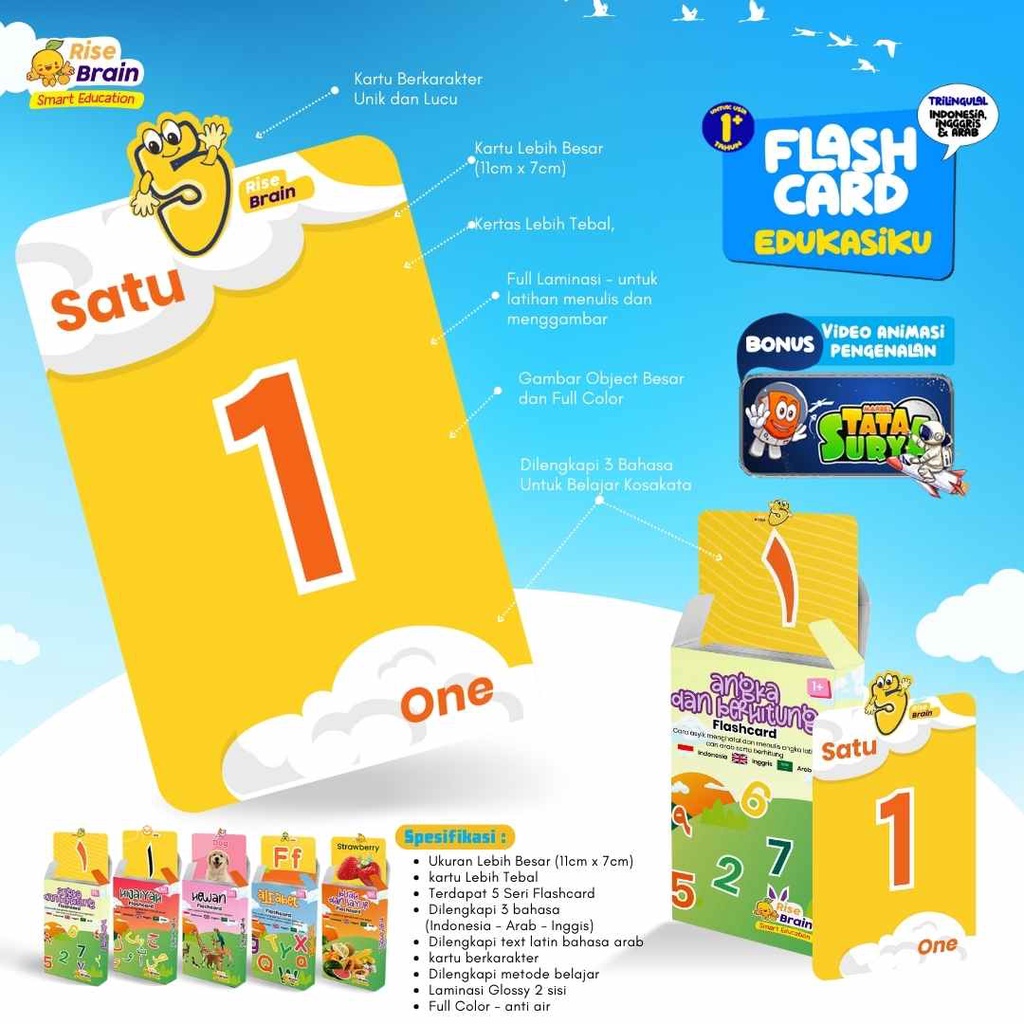 Jual FLASH CARD ANGKA DAN BERHTUNG RISE BRAIN MAINAN EDUKATIF UNTUK ...
