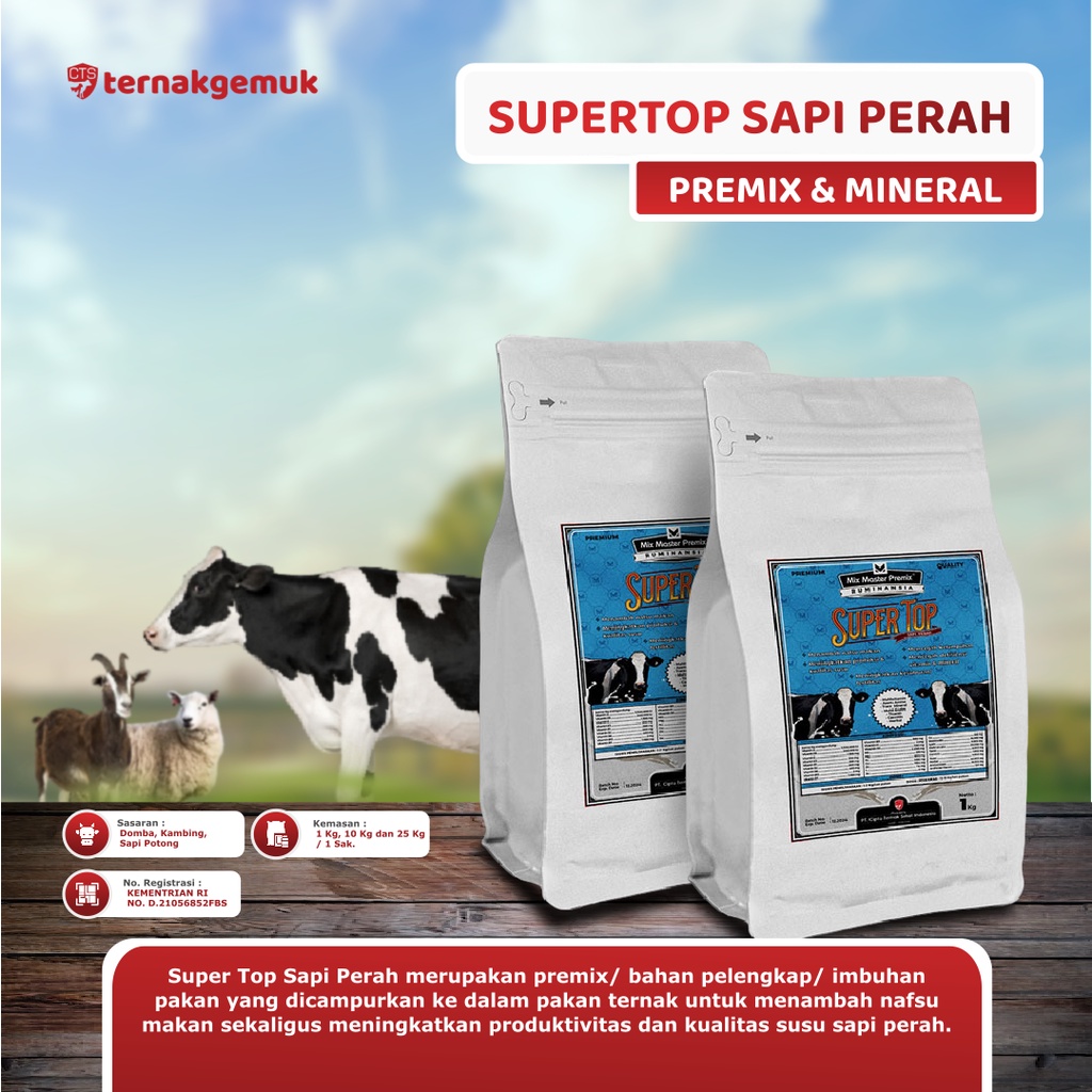Jual PREMIX MINERAL SAPI PERAH PREMIUM- SUPER TOP SAPI PERAH - PELENGKAP PAKAN KONSENTRAT SAPI ...