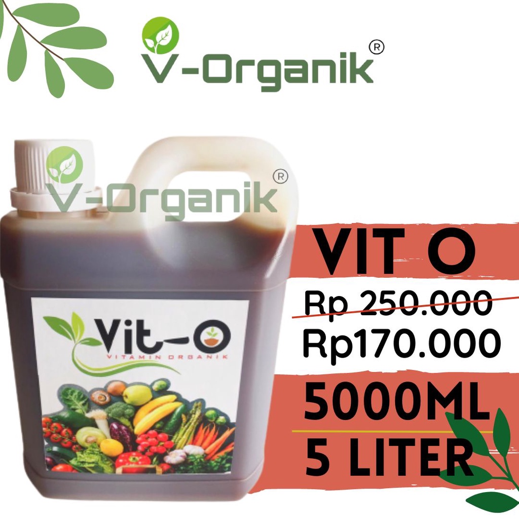 Jual 5 LITER VIT-O VIT O VITAMIN TANAMAN SUPER VITAMIN | Shopee Indonesia