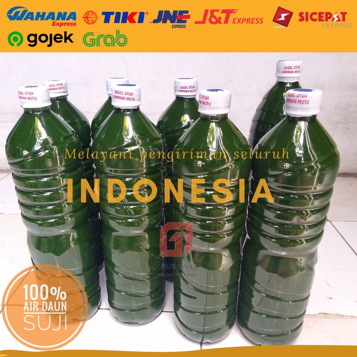 Jual Daun suji | Air daun suji | Air perasan daun suji | Shopee Indonesia