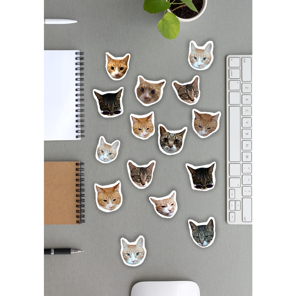 Jual Sticker Kucing Lee Know Stray Kids / Sooni / Doongi / Dori ...