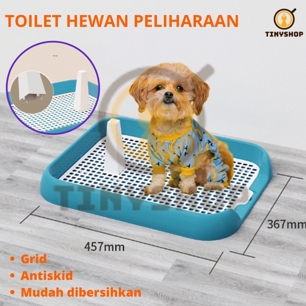Jual Pet Toilet Training Tempat Pup Pee Hewan Tempat Kencing Hewan ...