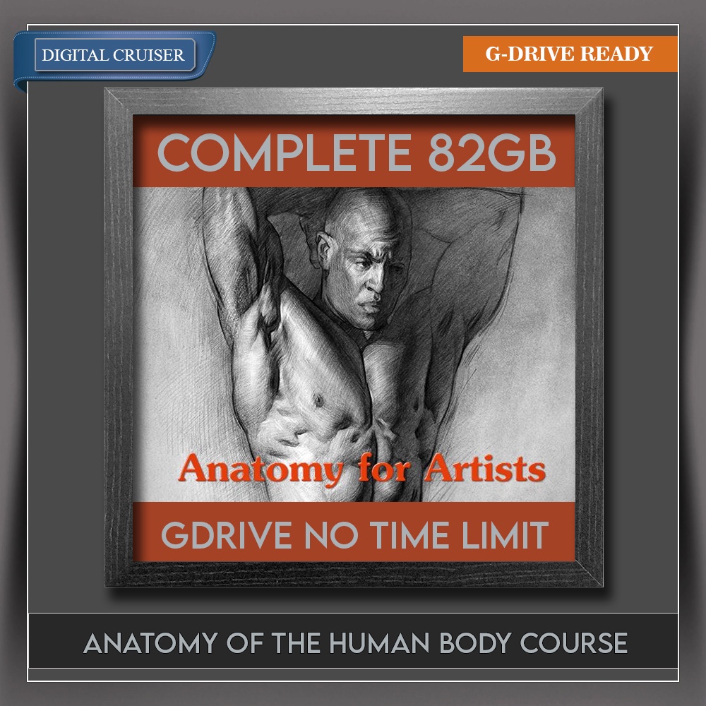 Jual PROKO - Anatomy of the Human Body Course COMPLETE | Shopee Indonesia
