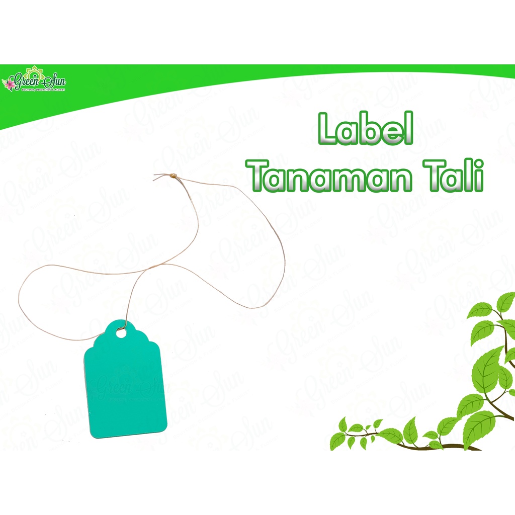 Jual Label Tanaman - Penanda Tanaman - Bentuk Tali 4.5 x 3 cm | Shopee ...