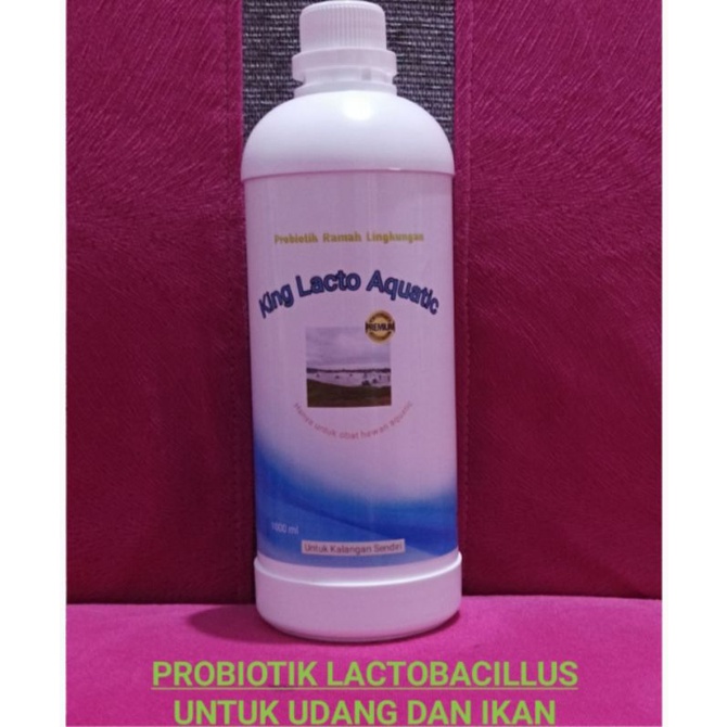 Jual PROBIOTIK LACTOBACILLUS (1L) KINGLACTO AQUATIC UNTUK UDANG DAN ...