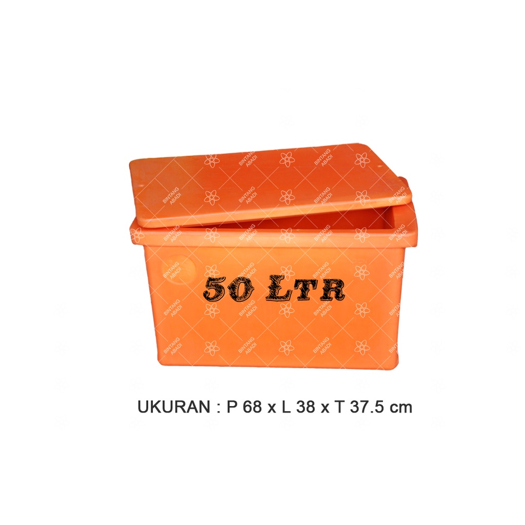 Jual Cooler Box Es 50 Liter OCEAN PLASTO LDPE / Cool Box Ice 50L | Shopee Indonesia
