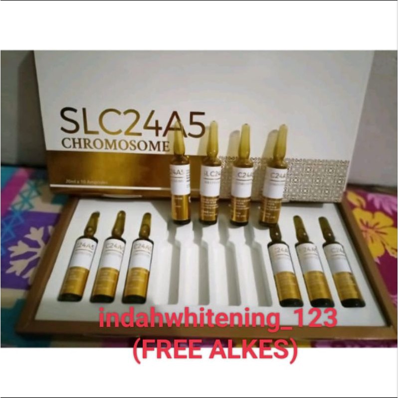 Jual SLC24A5 CHROMOSOME GOLD ORIGINAL (ECER) | Shopee Indonesia