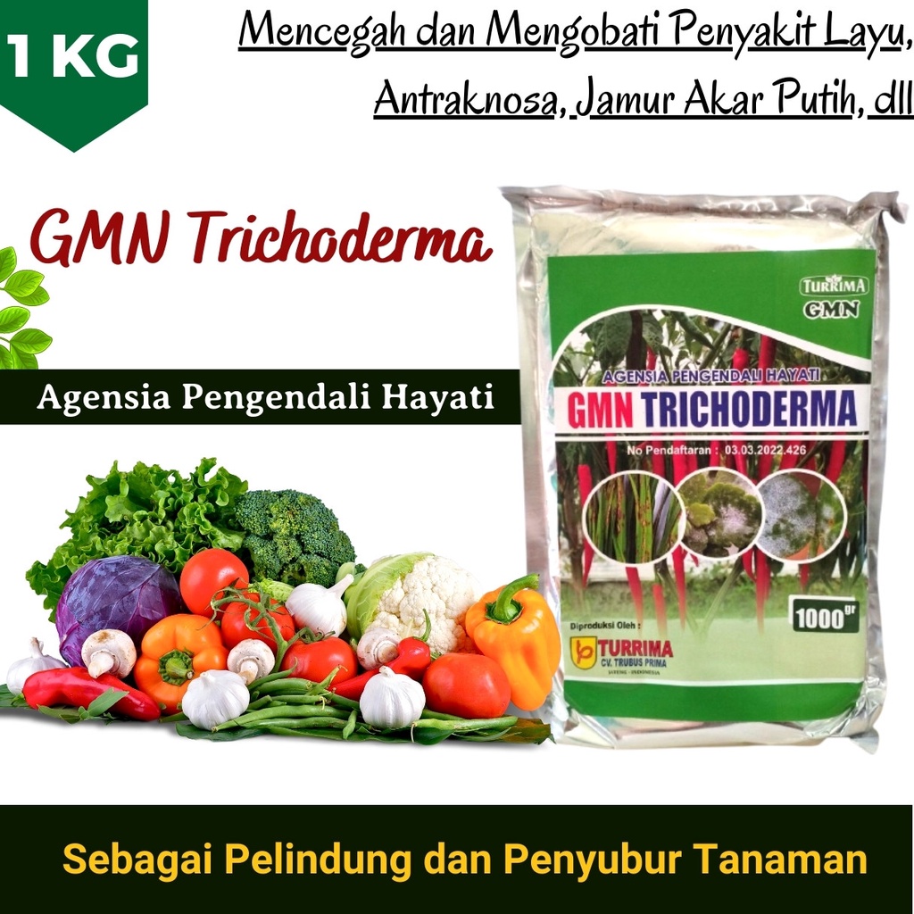 Jual Fungisida Anti Layu Fusarium Penyakit Jamur Trichoderma Pengendali ...