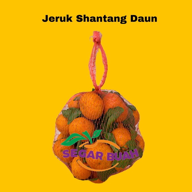 Jual Jeruk Shantang Daun DongFang Tanpa Biji 500 gr / 1000 gr ( 1 Kg ...