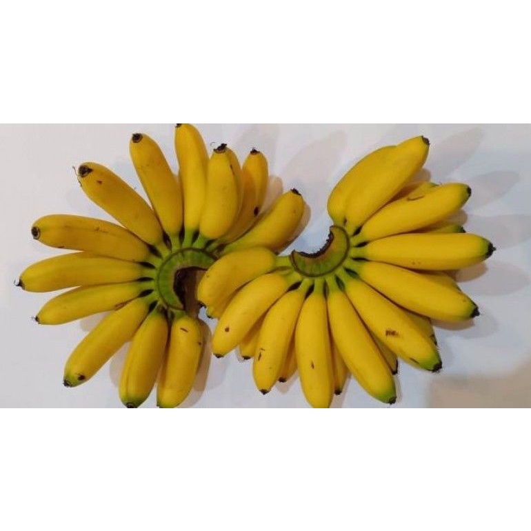 Jual Pisang banten 1 sisir | Shopee Indonesia