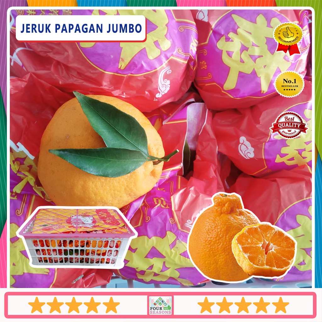 Jual BUAH IMLEK JERUK PAPAGAN / DEKOPON 1 KERANJANG RAJANYA JERUK BAGUS ...