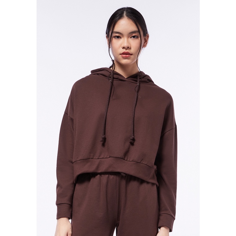 Jual COLORBOX Long Sleeve Basic Hoodies Dark Brown | Shopee Indonesia