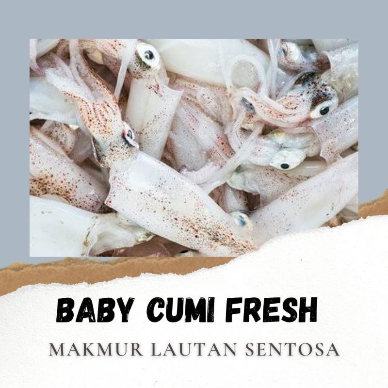 Jual BABY CUMI SEGAR FRESH UTUH HARIAN NELAYAN | Shopee Indonesia