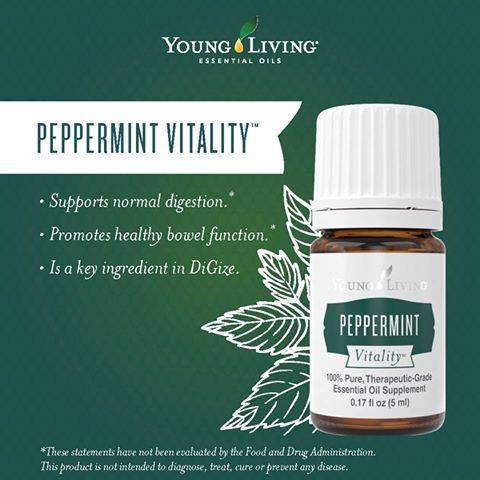 Jual Peppermint Essential Oil 5 ml by Young Living | Shopee Indonesia