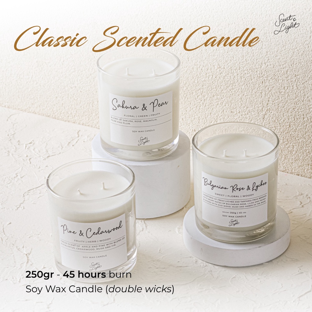 Jual Scent and Light Double Wicks Classic Soy Scented Candle Large ...
