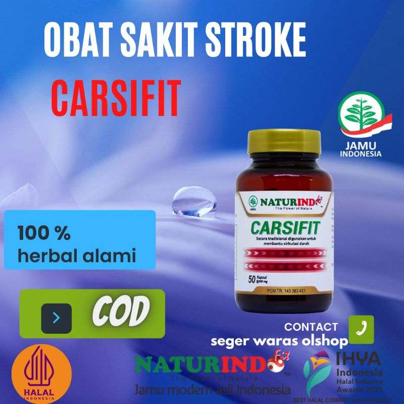 Jual OBAT STROKE STRUK HERBAL OBAT STROKE RINGAN BERAT LUMPUH MENAHUN ...