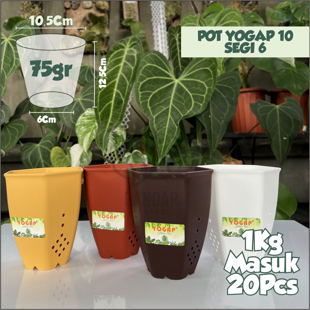 Jual pot bibit bunga tanaman hias Yogap 10 Segi 6 warna cantik bentuk ...